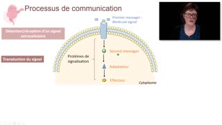 Vidéothèque de l'UL - MOOC La cellule a du génie - La Communication ...